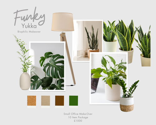 10 Item Biophilic Boost | Funky Yukka