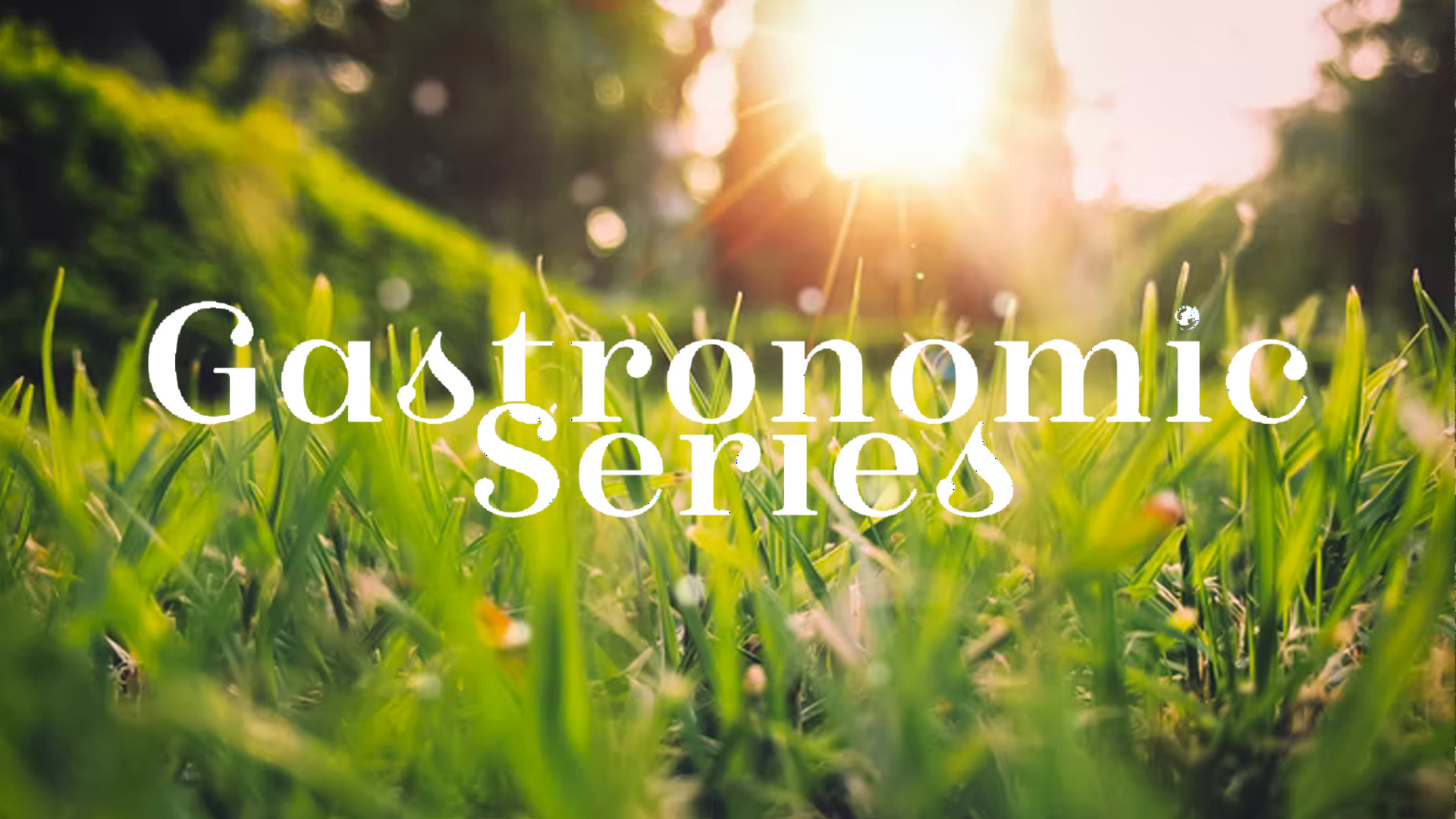 Spring seasonal tasting menu | Perkins Bar & Bistro