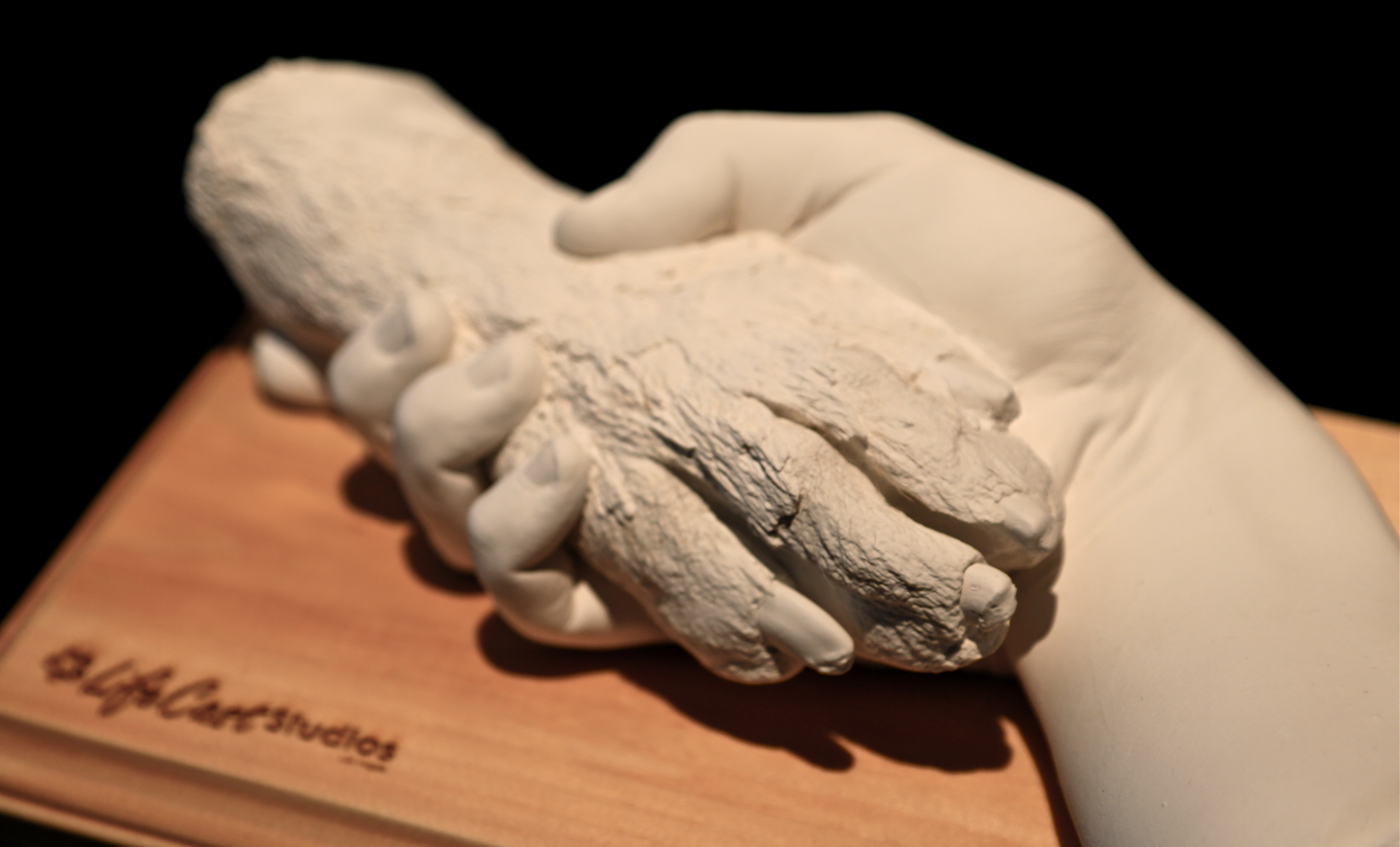 Casting unique art and sculptures | LifeCast Studios | United States