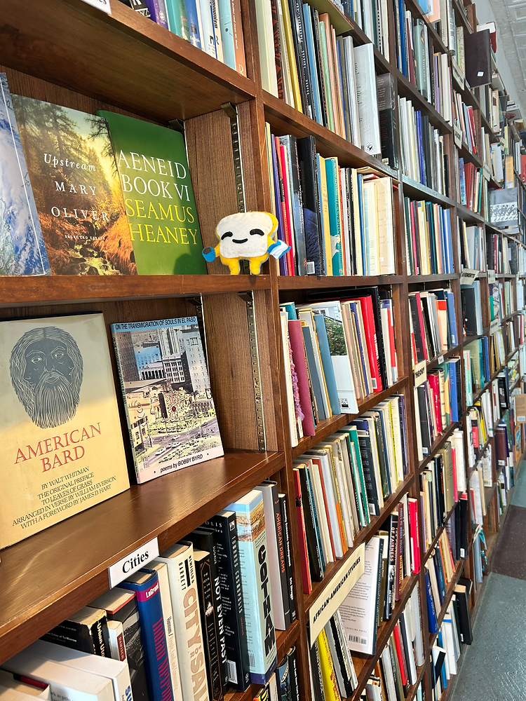 Supporting Local Bookstores (Part III)