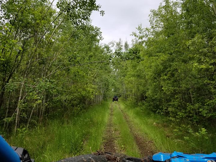 Home | BeaverFirstNation