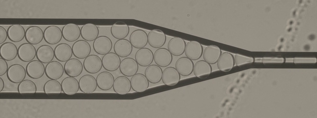 PLGA Microparticle Applications in Drug Delivery