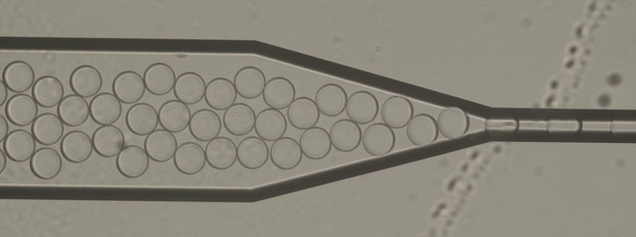 PLGA Microparticle Applications in Drug Delivery