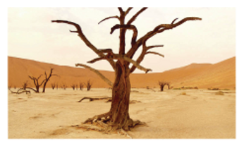 How Climate Change Threatens Australia's Food Supply