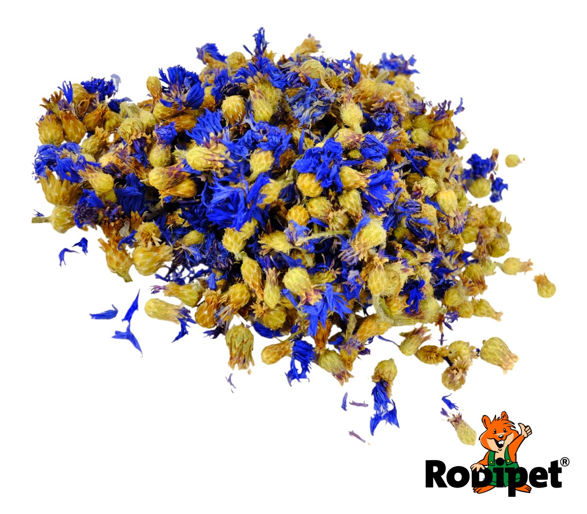 List of Hamster Safe Flowers & Herbs