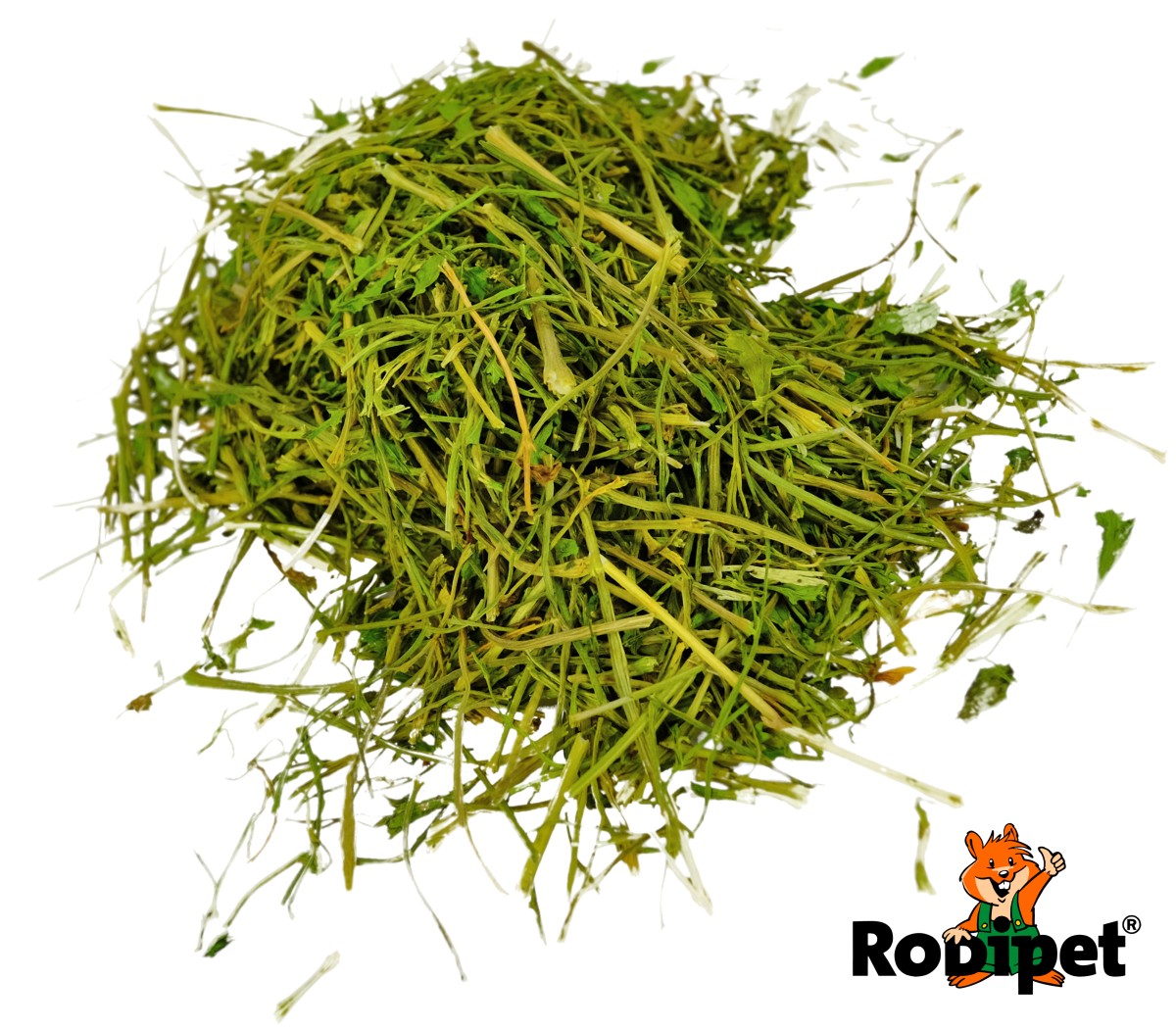 List of Hamster Safe Flowers & Herbs