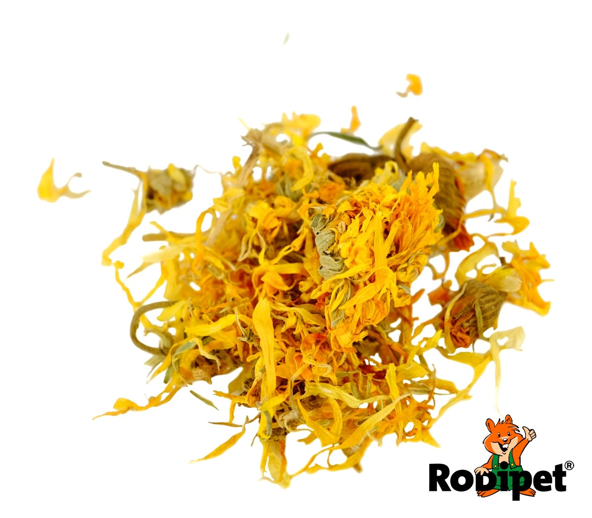 List of Hamster Safe Flowers & Herbs