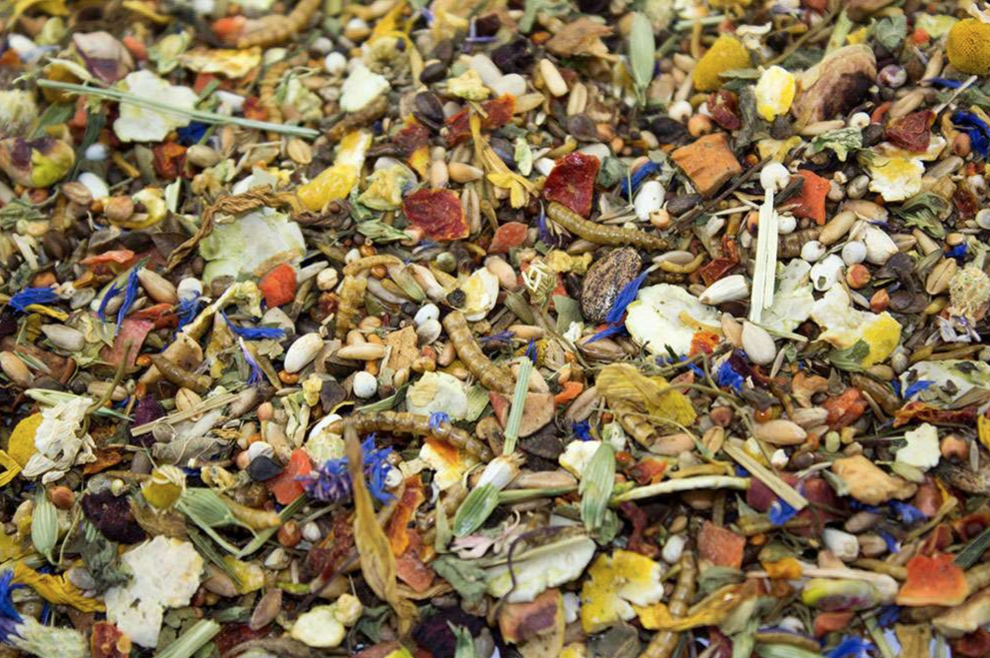 Choosing an Appropriate Hamster Food: with an Introduction to Homemade ...