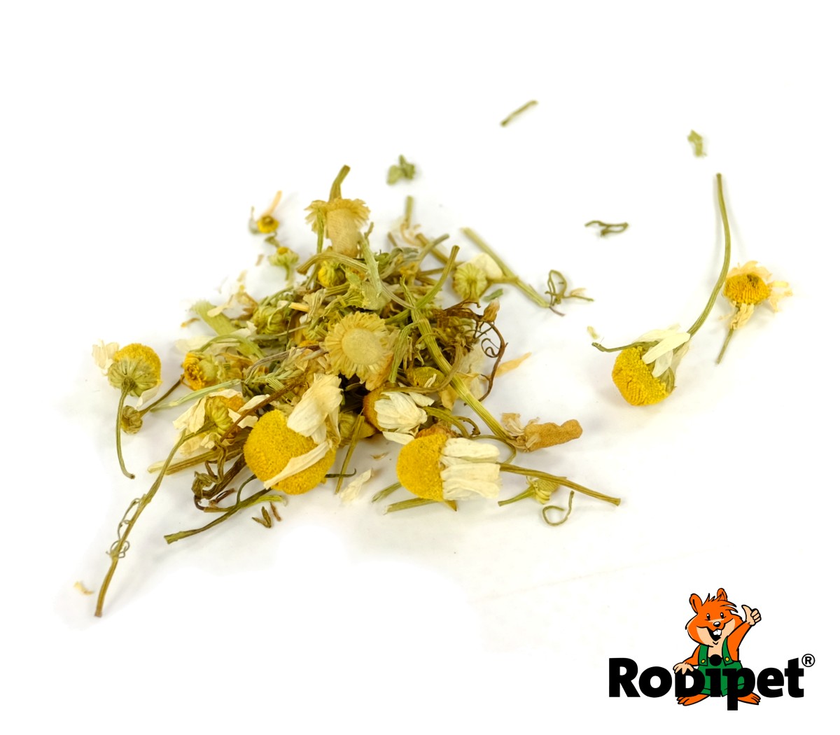 List of Hamster Safe Flowers & Herbs