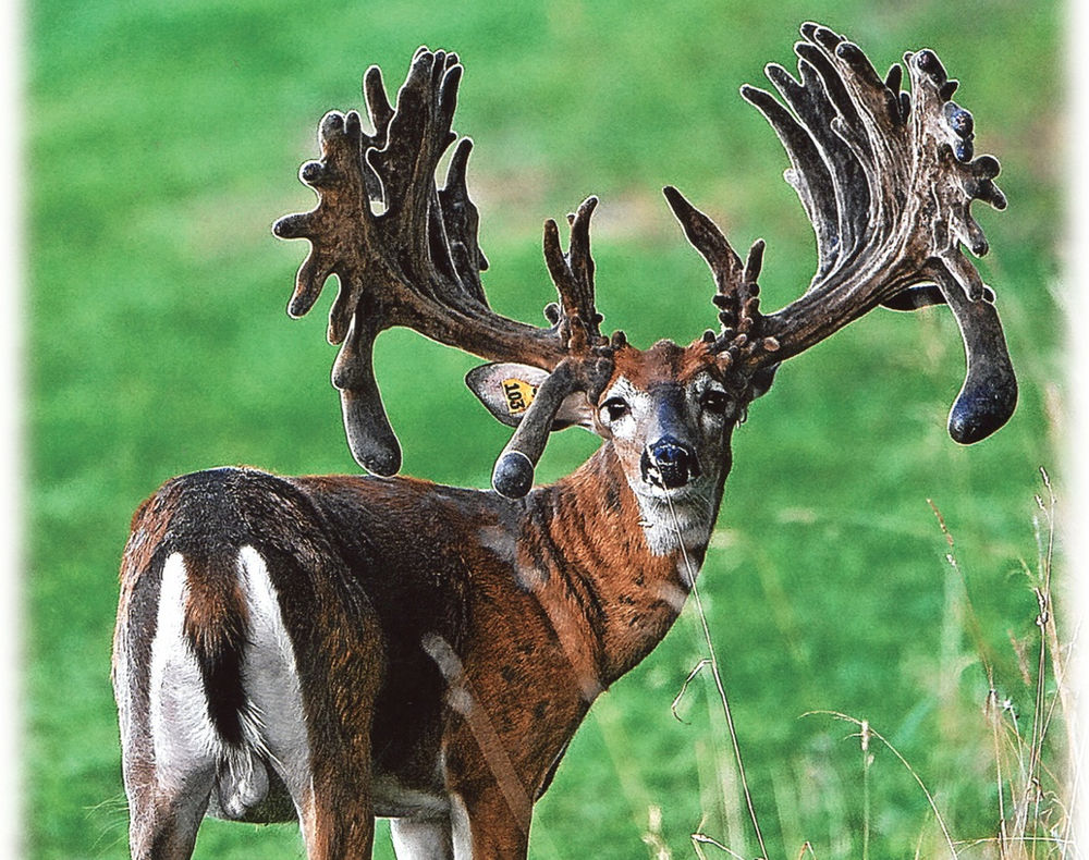 OceanGrown and Russ Bellar