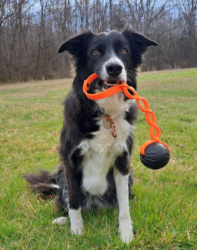 Braided Biothane Tug Ball | Natural Dawg
