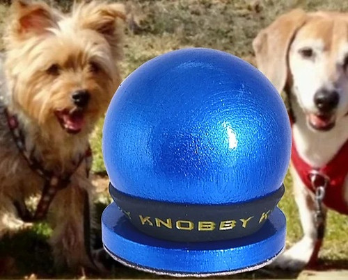 MINI Forever File (2") ~ Knobby Nails | Natural Dawg