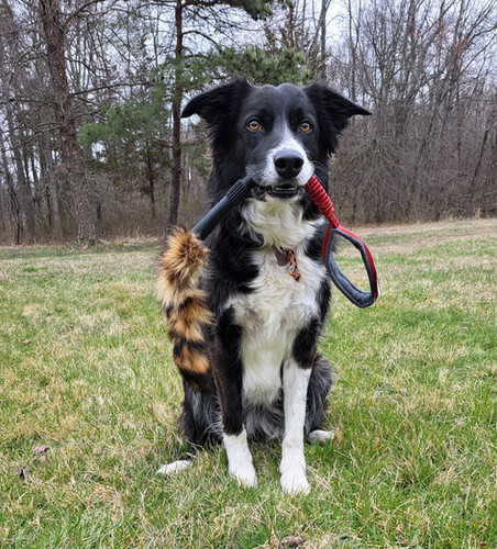 Rascal Barnyard Tug | Natural Dawg