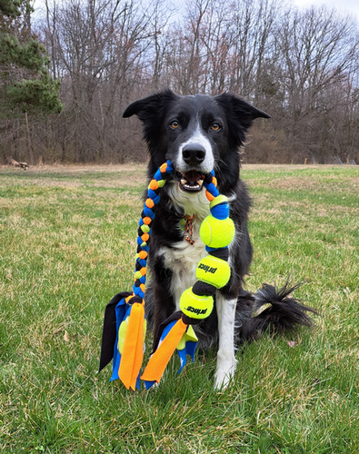 Flying Furball Tennis Tug | Natural Dawg