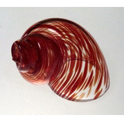 Small Colored Glass Hermit Crab Shell | dugrenier