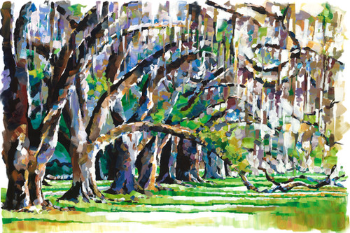 Oaks and Spanish Moss Limited Edition Print | Patrick Lewis Art