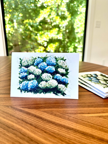 Hydrangea Note Cards | Patrick Lewis Art