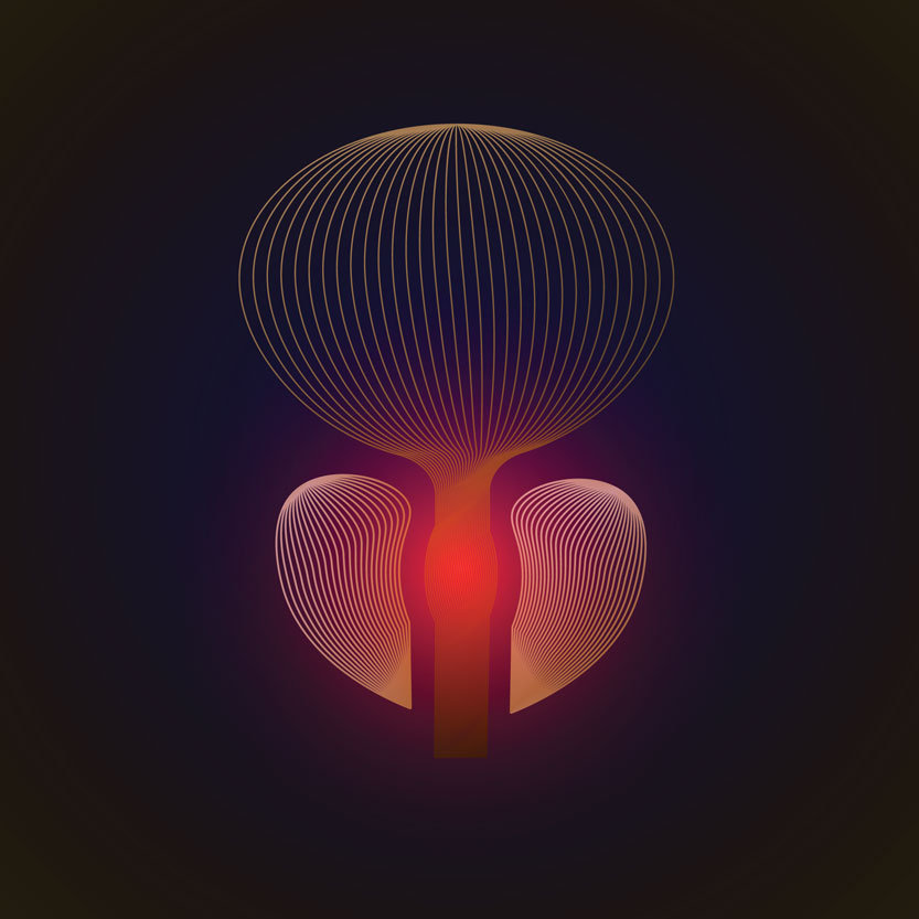 Lets talk Prostate Health