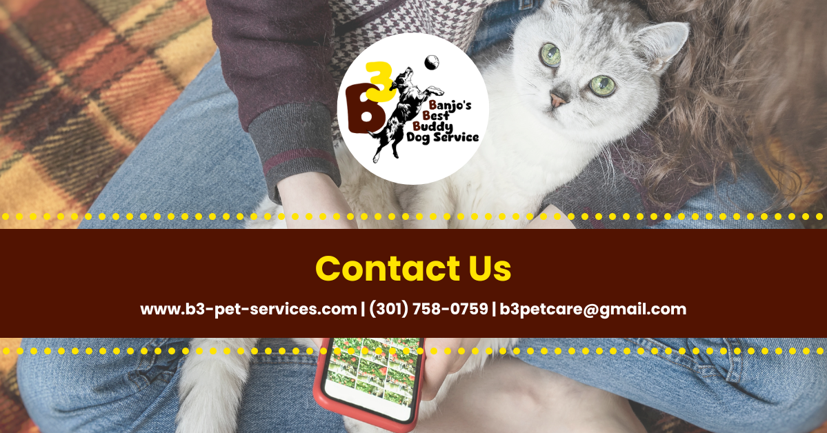 Contact Us | B3 Pet Services