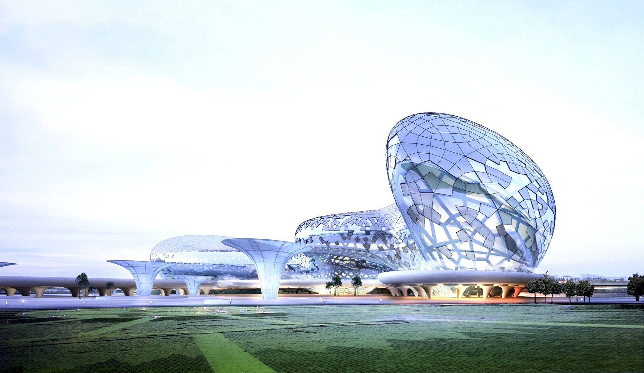 International Foundation Blue Bird | Projets