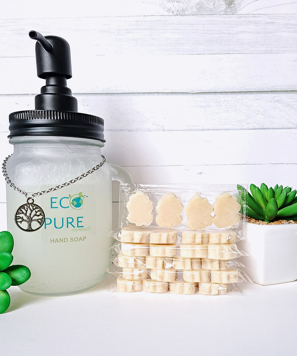 EcoPure Liquid Hand Soap Refill Zero Waste: The better choice than Mrs ...