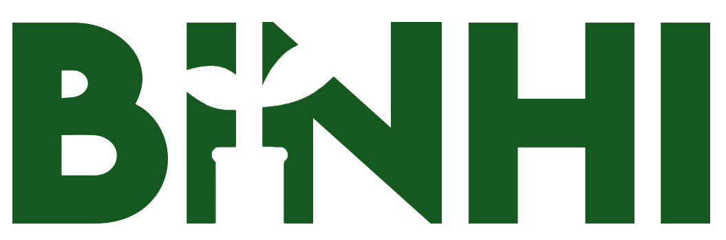 Binhi Logo About Us | My Site