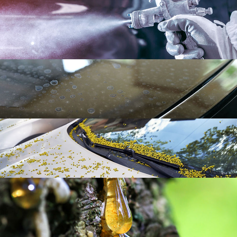 Remove Car Contaminants: Autowash's Proven Guide