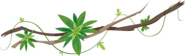 Play With ASL | Interactive Games to Learn American Sign Language