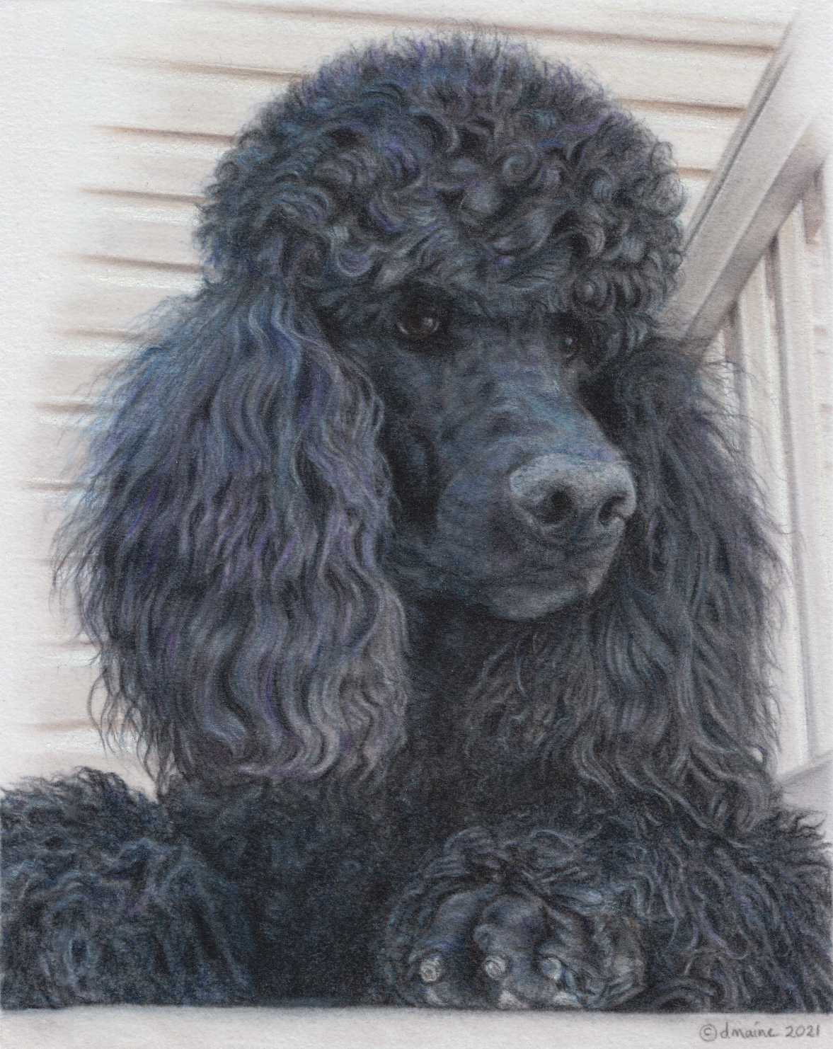 Prints Giclée Art & Collectibles Standard Poodle Signed Print etna.com.pe