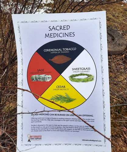Sacred Medicines Poster | Mi'kma'ki Craft Supp