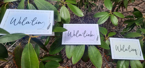 Greeting Cards | Mi'kma'ki Craft Supp