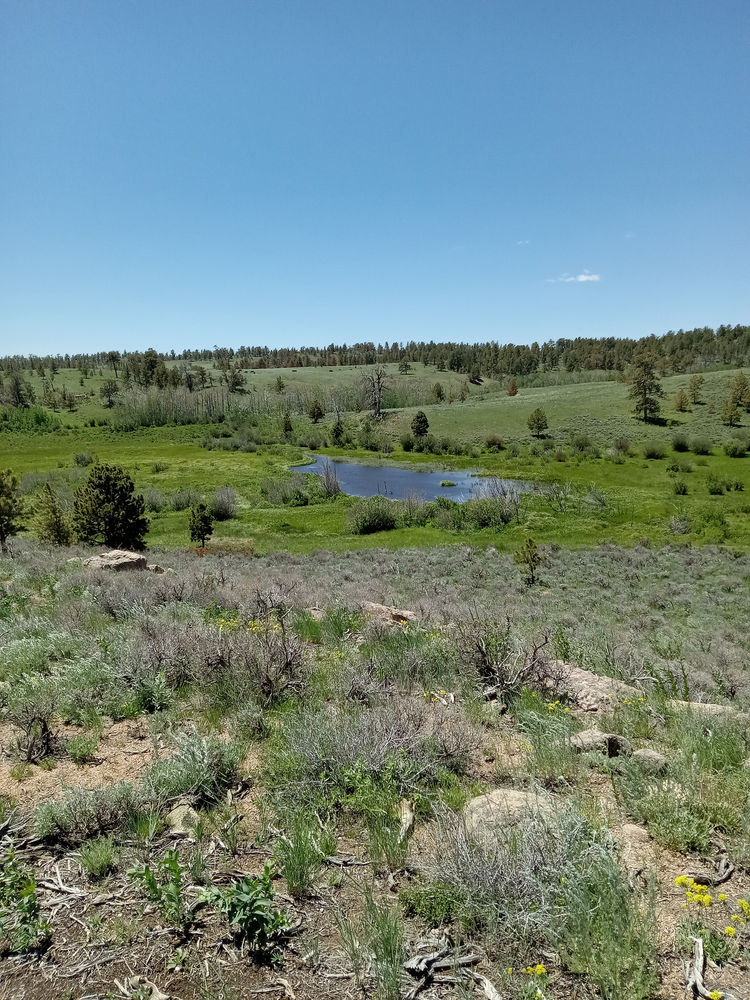 Cheyenne Water ways, Creeks, and Dams | Give Him 15