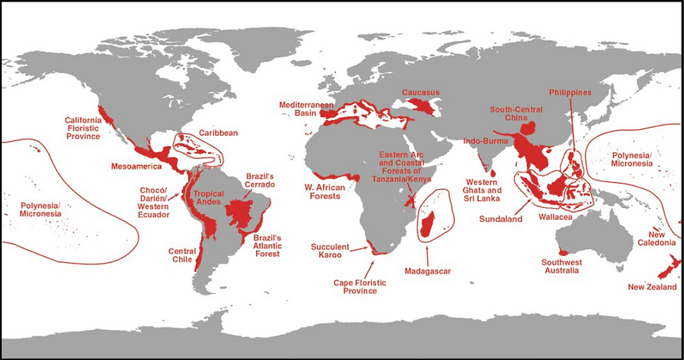  Hotspots De Biodiversidad Qu Son Y Por Qu Son Tan Importantes 
