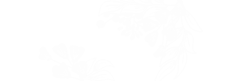 Custom sugar cookies | Secret Garden Cookie Co | Bozeman, Montana