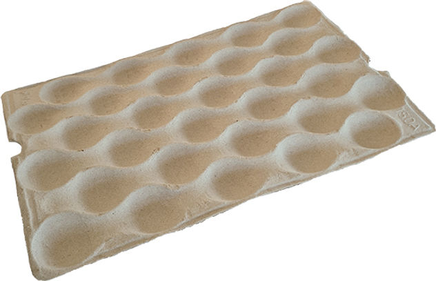 FRUIT TRAYS | Australia Pak