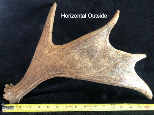 Customized Small Antler Carving | jsnaturalart.com