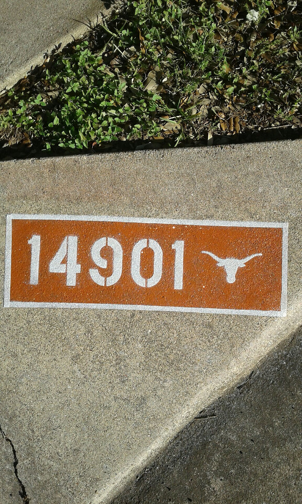 Painted Curb Address Markers | AustinCurbService| Austin, Texas
