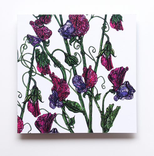 Sweet Pea Blank Floral Greeting Card | artist-author