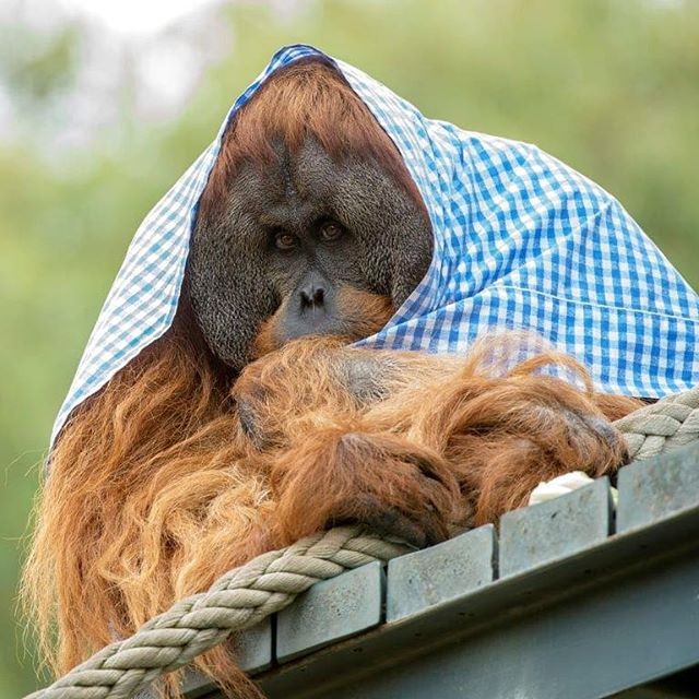 Contact Us | Quality Catering