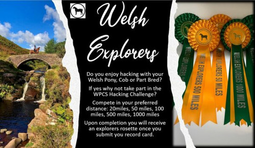 Welsh Explorers | The Welsh Pony And C