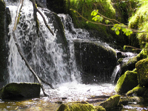 Cae Mabon - picture gallery