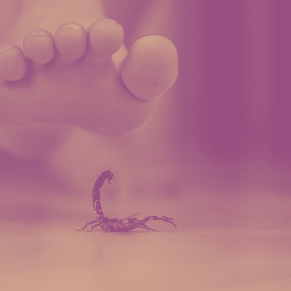 “A Standing Ovation for the Scorpion in the Toilet Bowl” by Catherine O ...