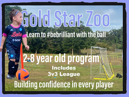 HOME | Gold Star Soccer