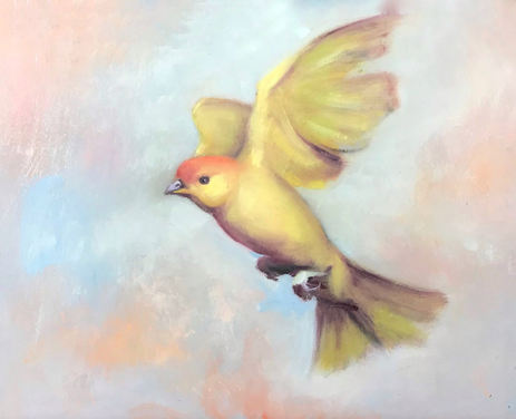 Rokoff Studio | Oil Paintings | Hawaii Paintings | Painting Classes