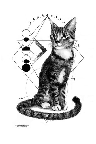 Margot Cat Illustration | Arleana Holtzmann