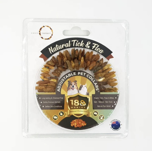 Large Dog Toffee Amber Collar | nativemagic2021