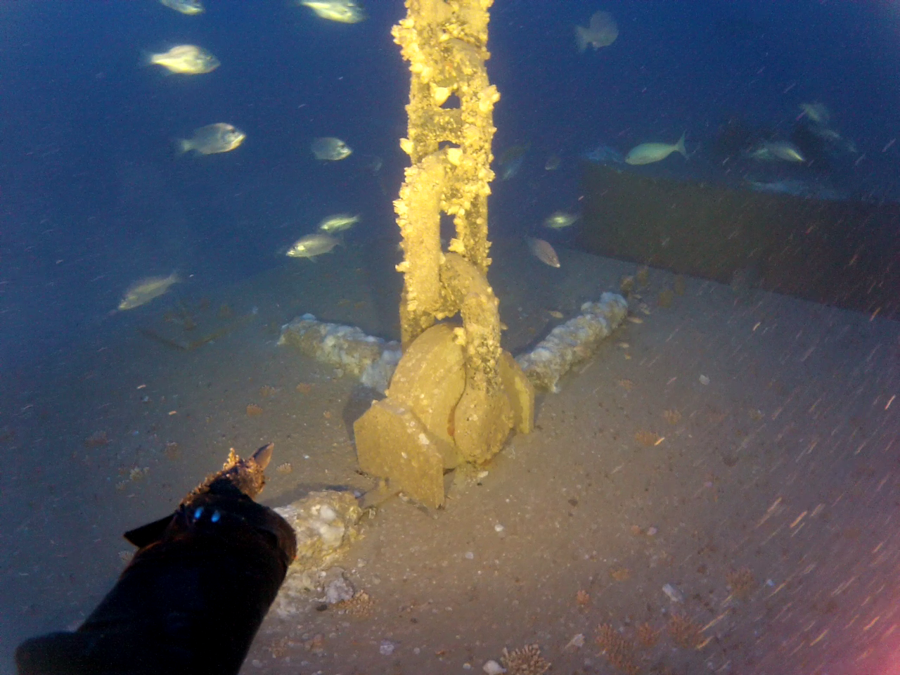 Full Field Inspection | Intervention Engineering