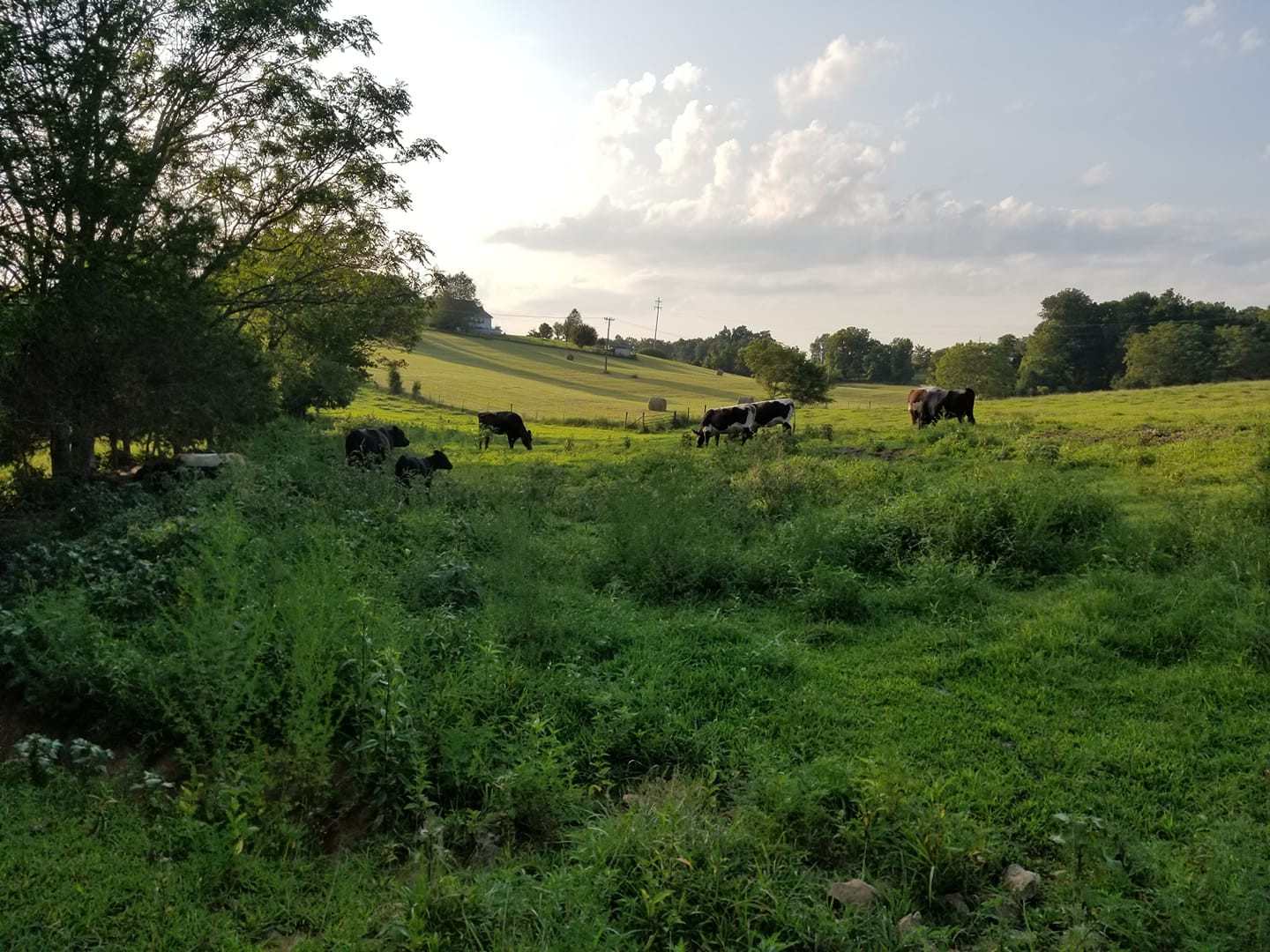 Planning and Zoning | Barren County