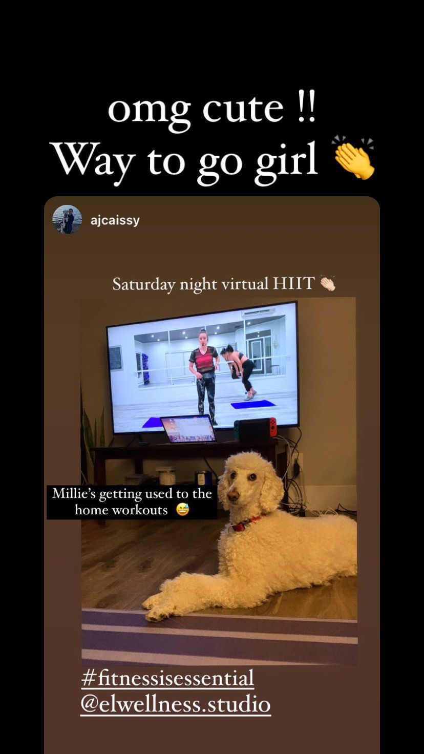 On Demand Online Classes | EL Wellness Studio