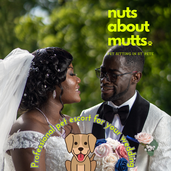 Home | Nuts About Mutts Pet Sitting | Boarding | Doggy Daycare | Walks ...